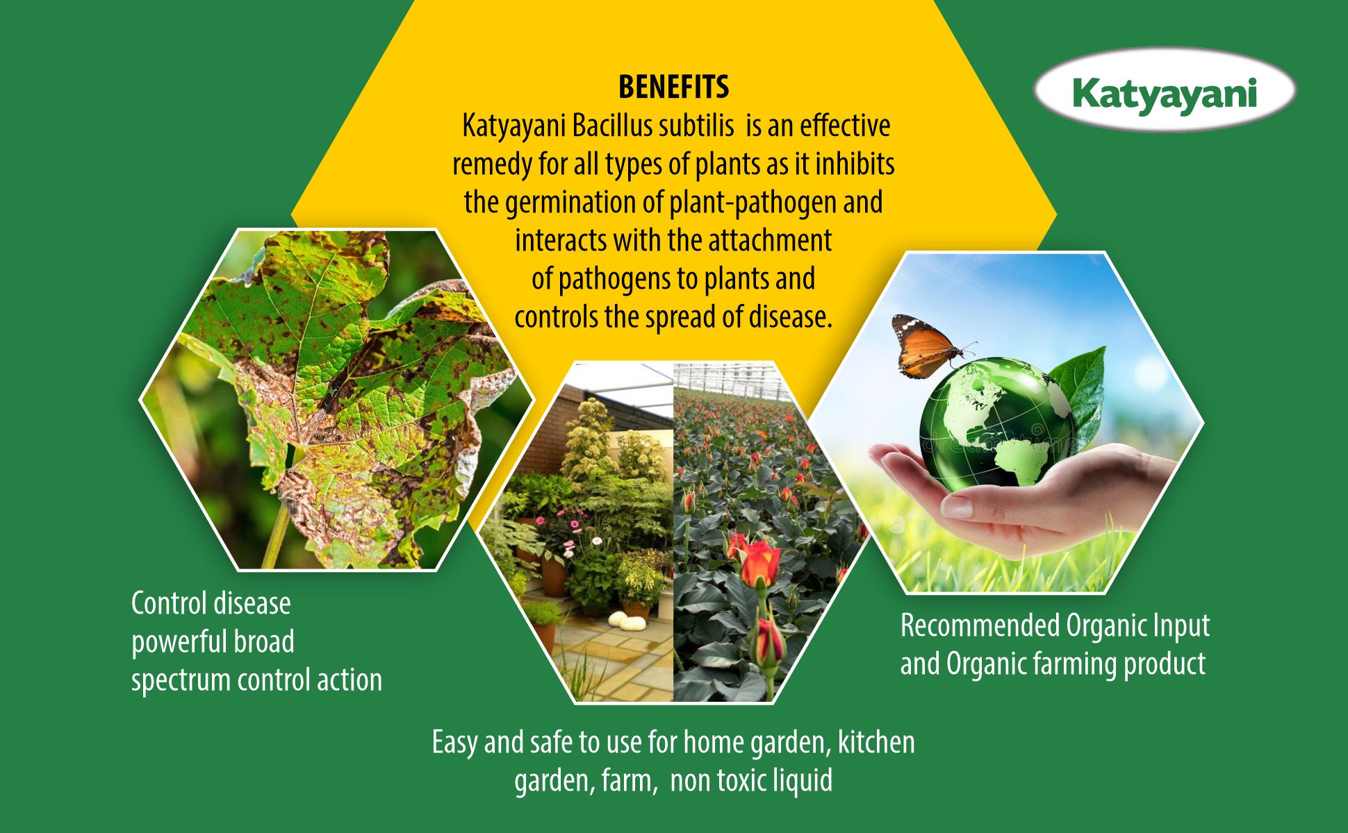 Bacillus Subtilis Bio Fungicide - Katyayani Organics