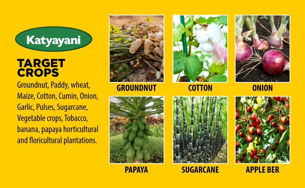 Trichoderma viride Bio fungicide - Katyayani Organics