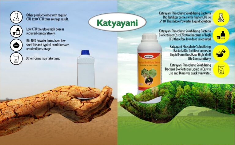 Phosphate Solubilizing Bacteria Bio fertilizer - Katyayani Organics