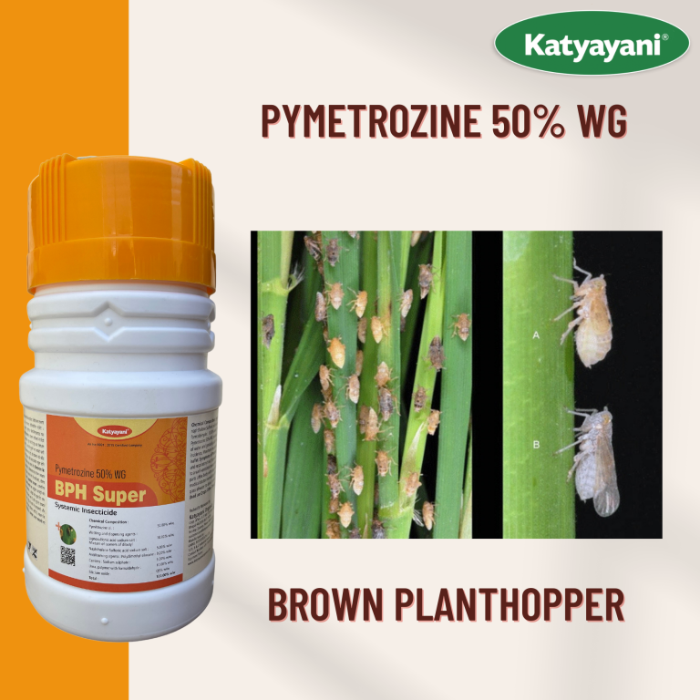 Pymetrozine 50 % wg – BPH Super – Katyayani Organics