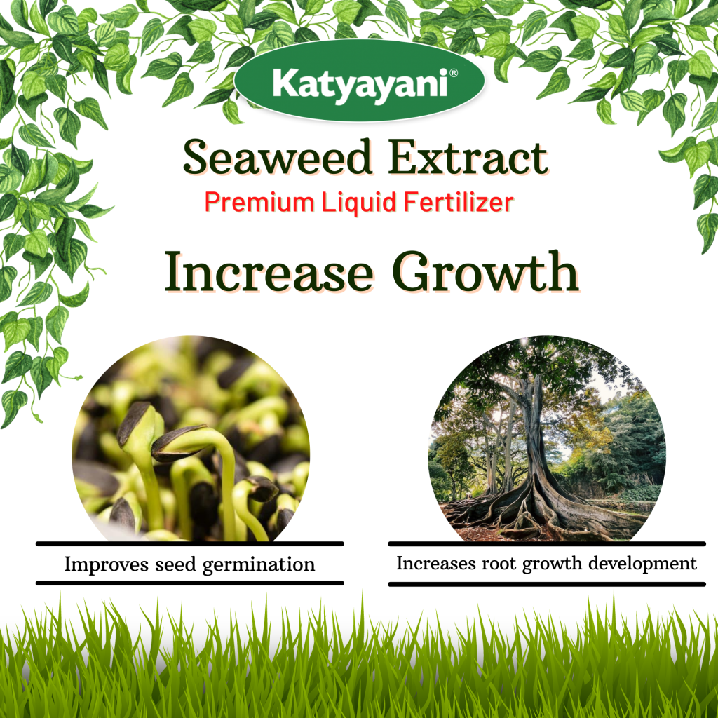 Premium Seaweed Extract liquid - Katyayani Organics