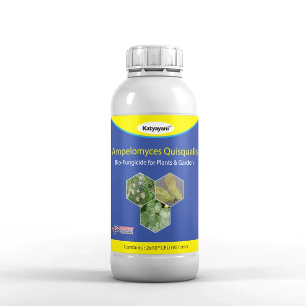 Ampelomyces Quisqualis Bio Fungicide Katyayani Organics