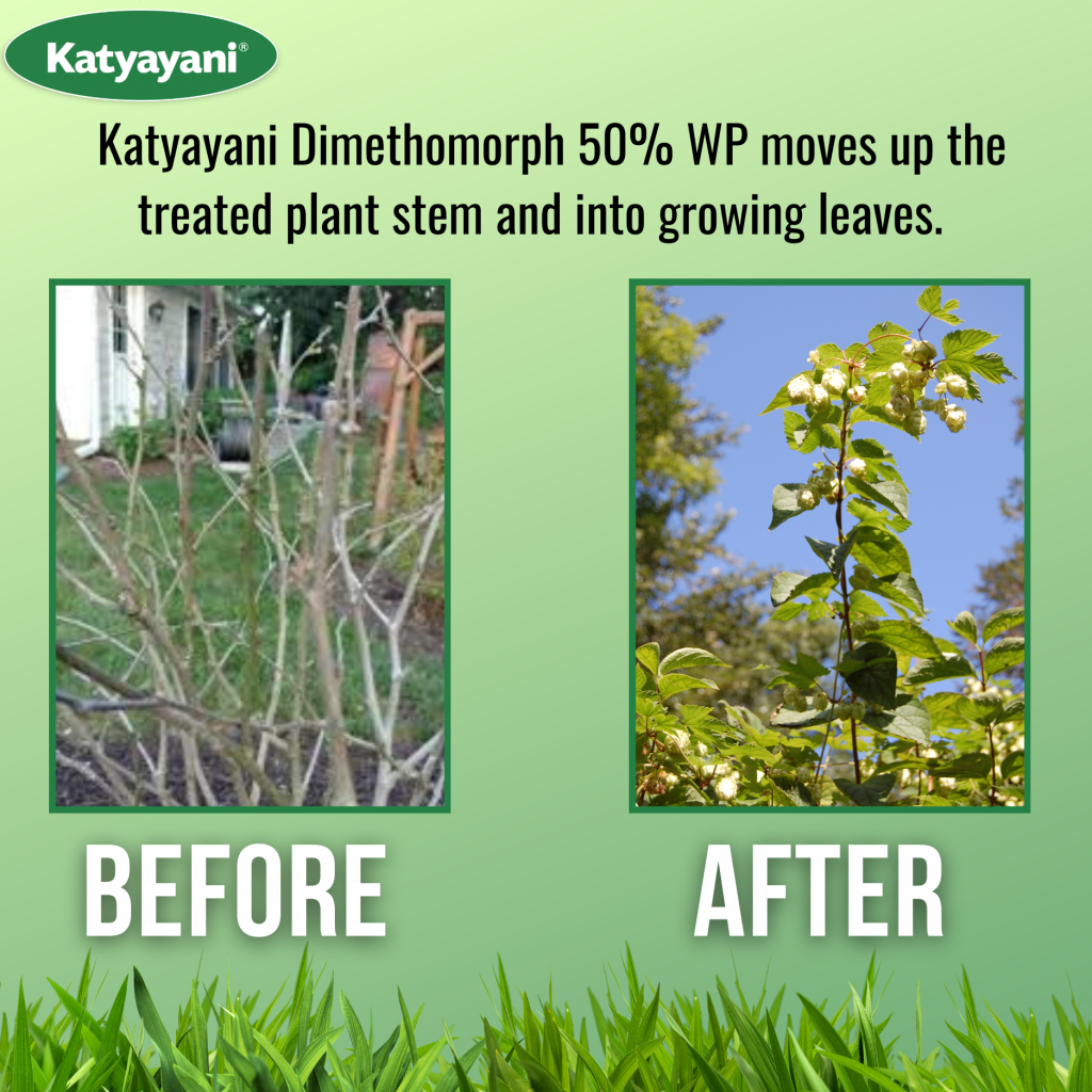 Dimethomorph 50 % WP- Katyayani DISMISS – Katyayani Organics