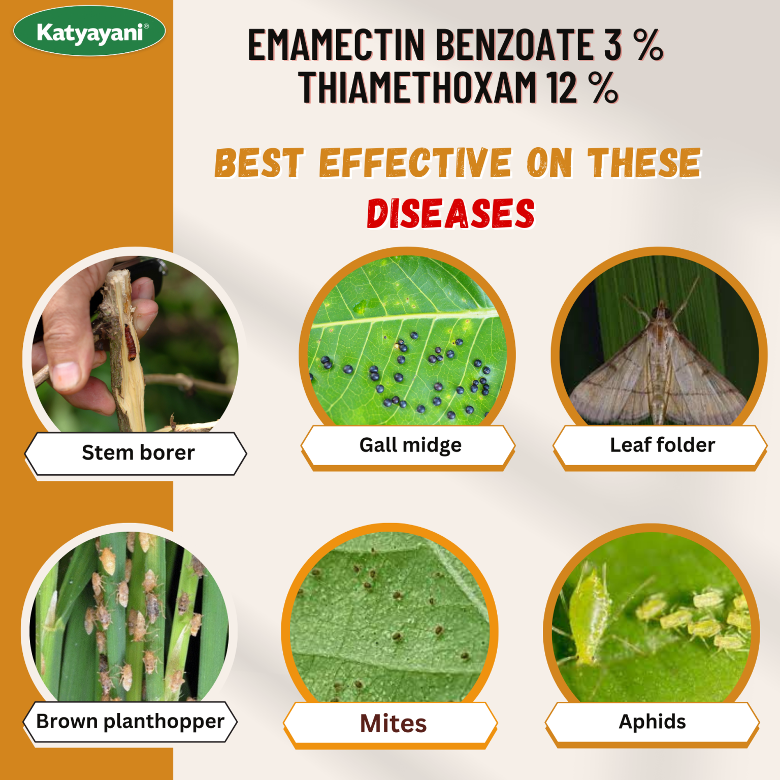 Emamectin benzoate 3 % thiamethoxam 12 % wg - Emathio - Katyayani Organics