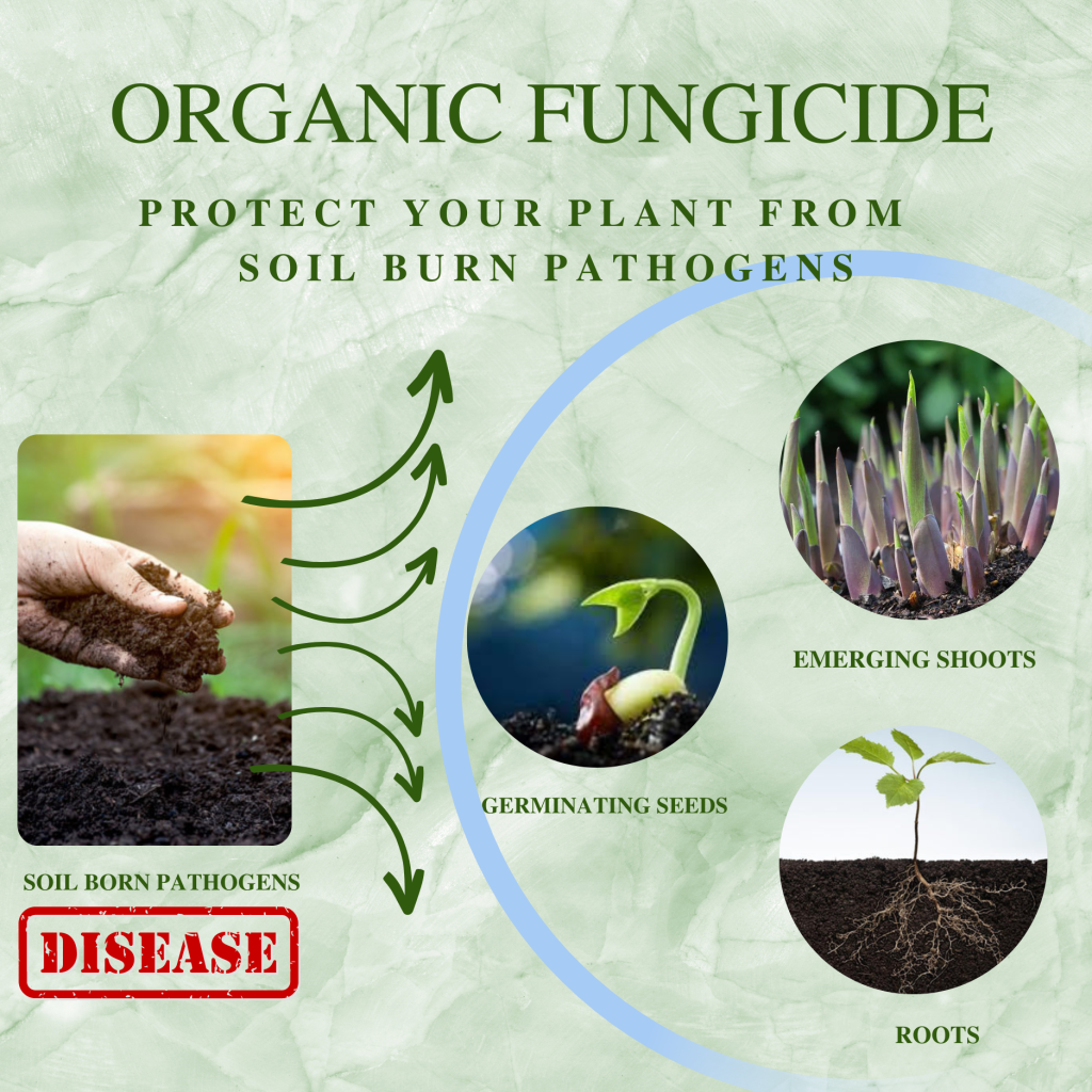 All In 1 Organic Fungicide – Katyayani Organics