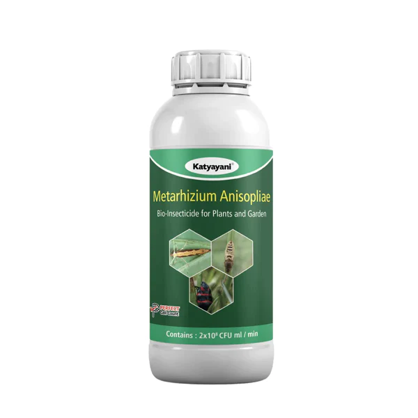 Metarhizium anisopliae Bio pesticide - Katyayani Organics
