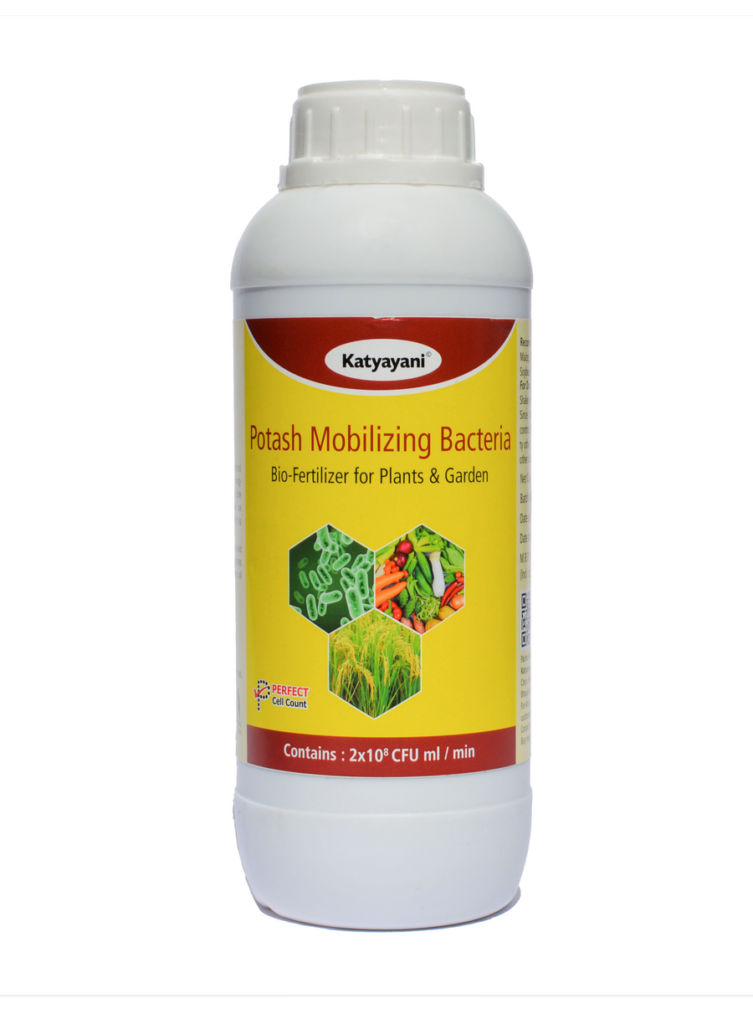 Potash Mobilizing Bacteria Bio fertilizer – Katyayani Organics