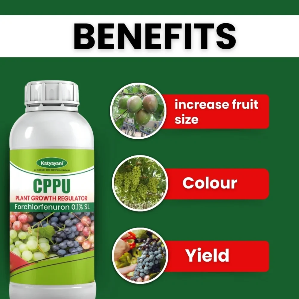 Forchlorfenuron 0.1 % – CPPU – Katyayani Organics