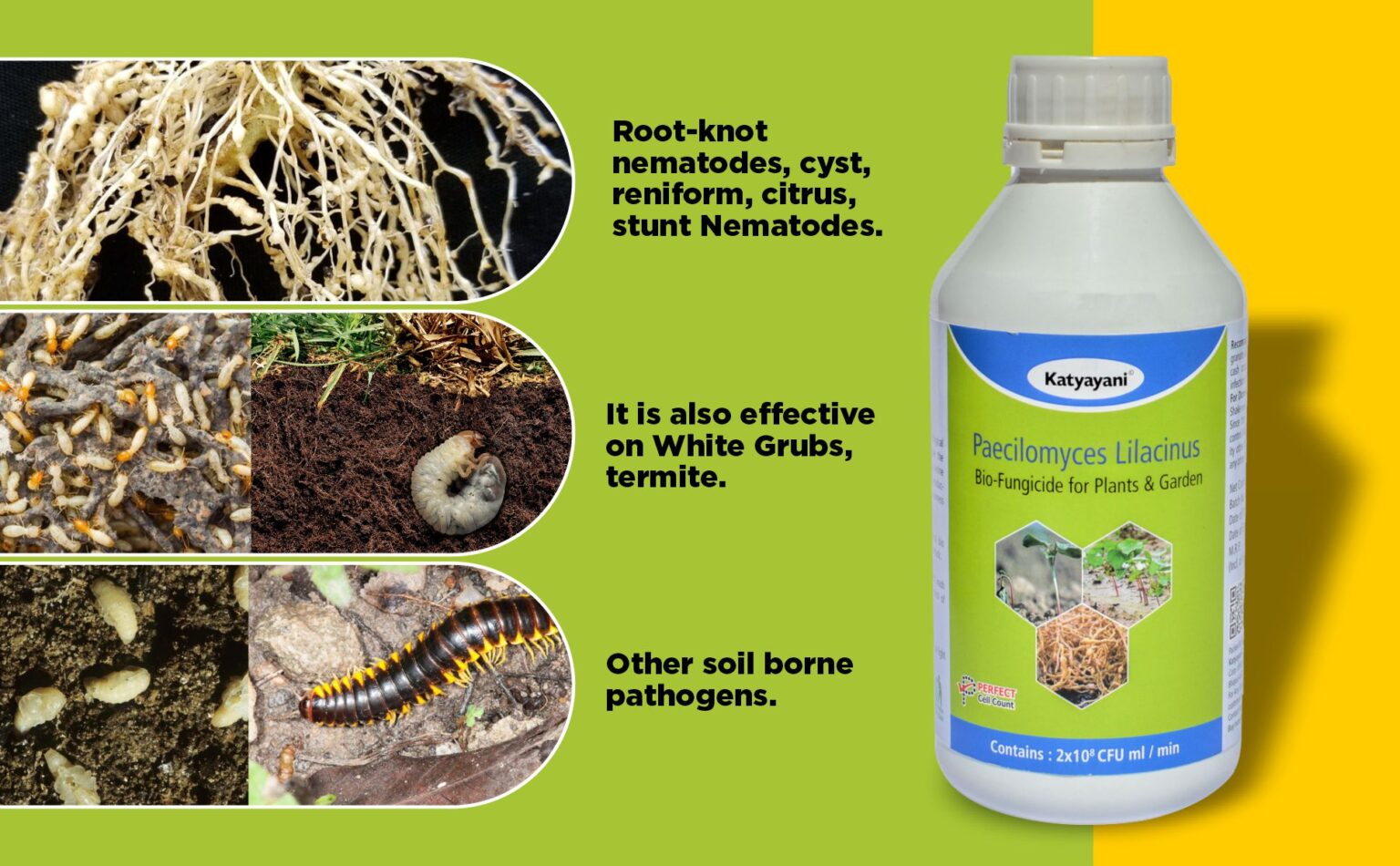 Paecilomyces Lilacinus Bio Insecticide - Katyayani Organics
