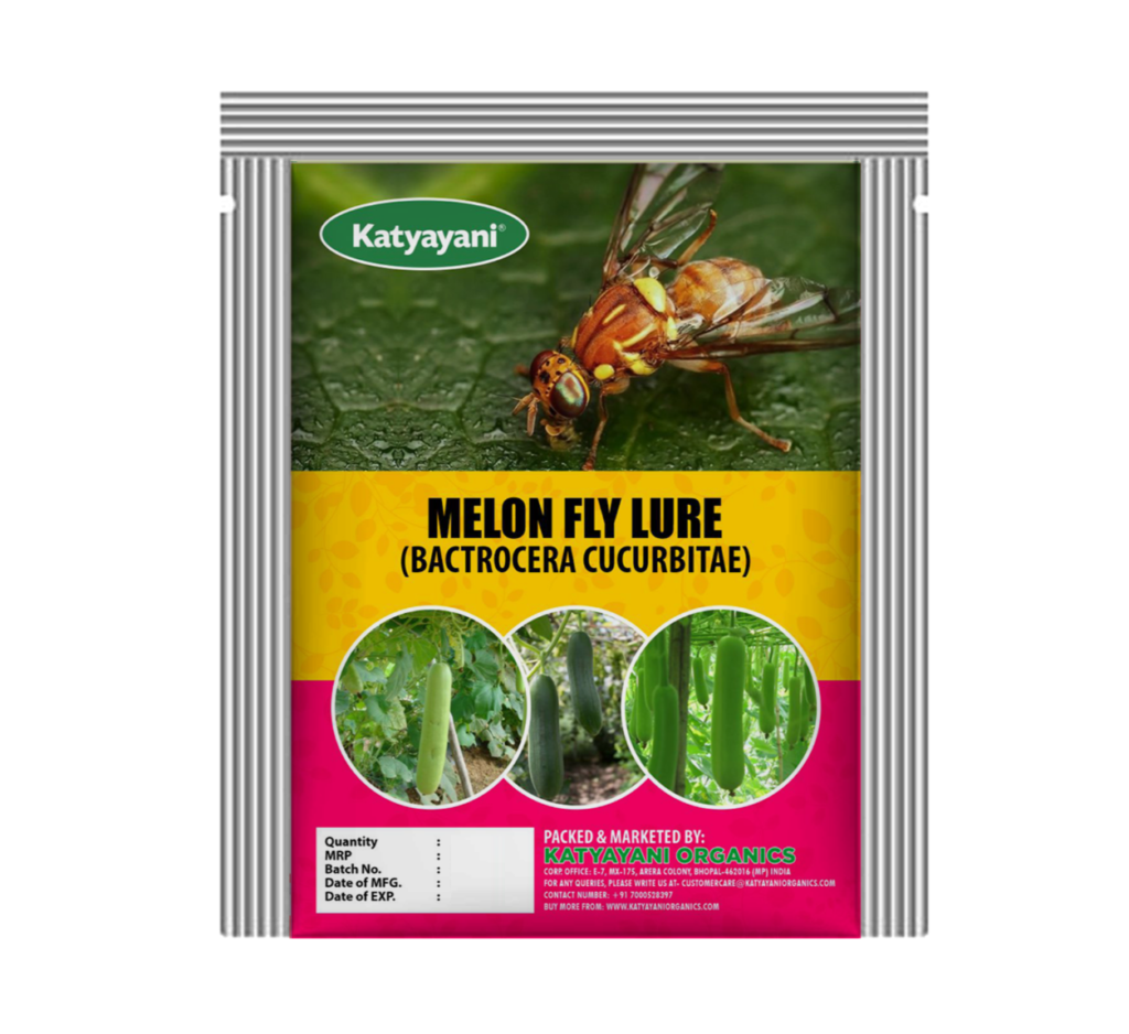 Melon Fly Lure (BACTROCERA CUCURBITAE) – Katyayani Organics