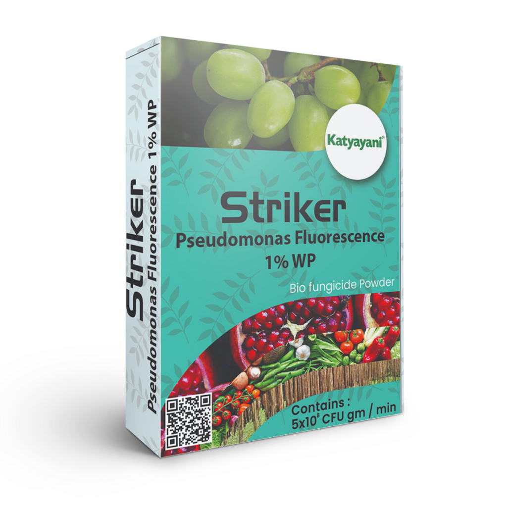 Katyayani Striker Pseudomonas Fluorescens Bio Fungicide Powder ...