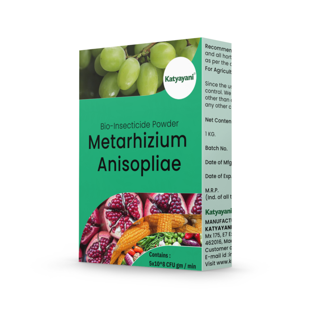 Katyayani Metarhizium Anisopliae Bio Insecticide Powder – Katyayani ...